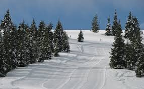 sureanu | Avantul Liber